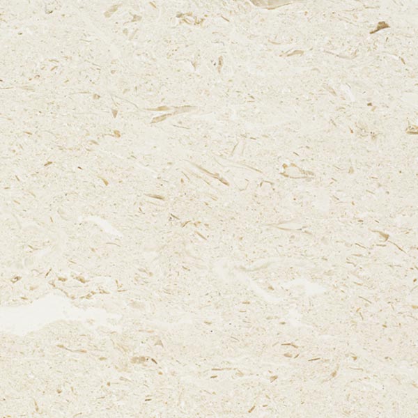 Shell Stone Tile Marble - StoneHardscapes, LLC, LLC